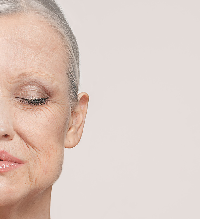 Aging process overview - Courses - SMART Academy