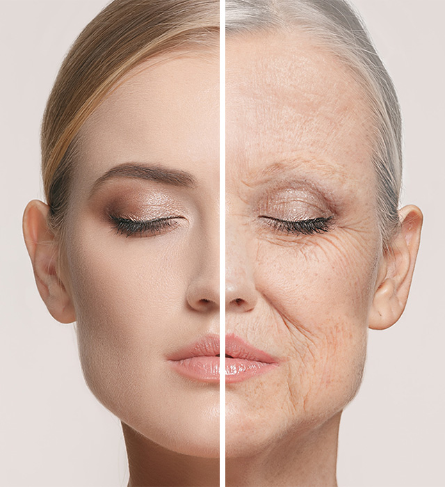 Aging process overview - Courses - SMART Academy